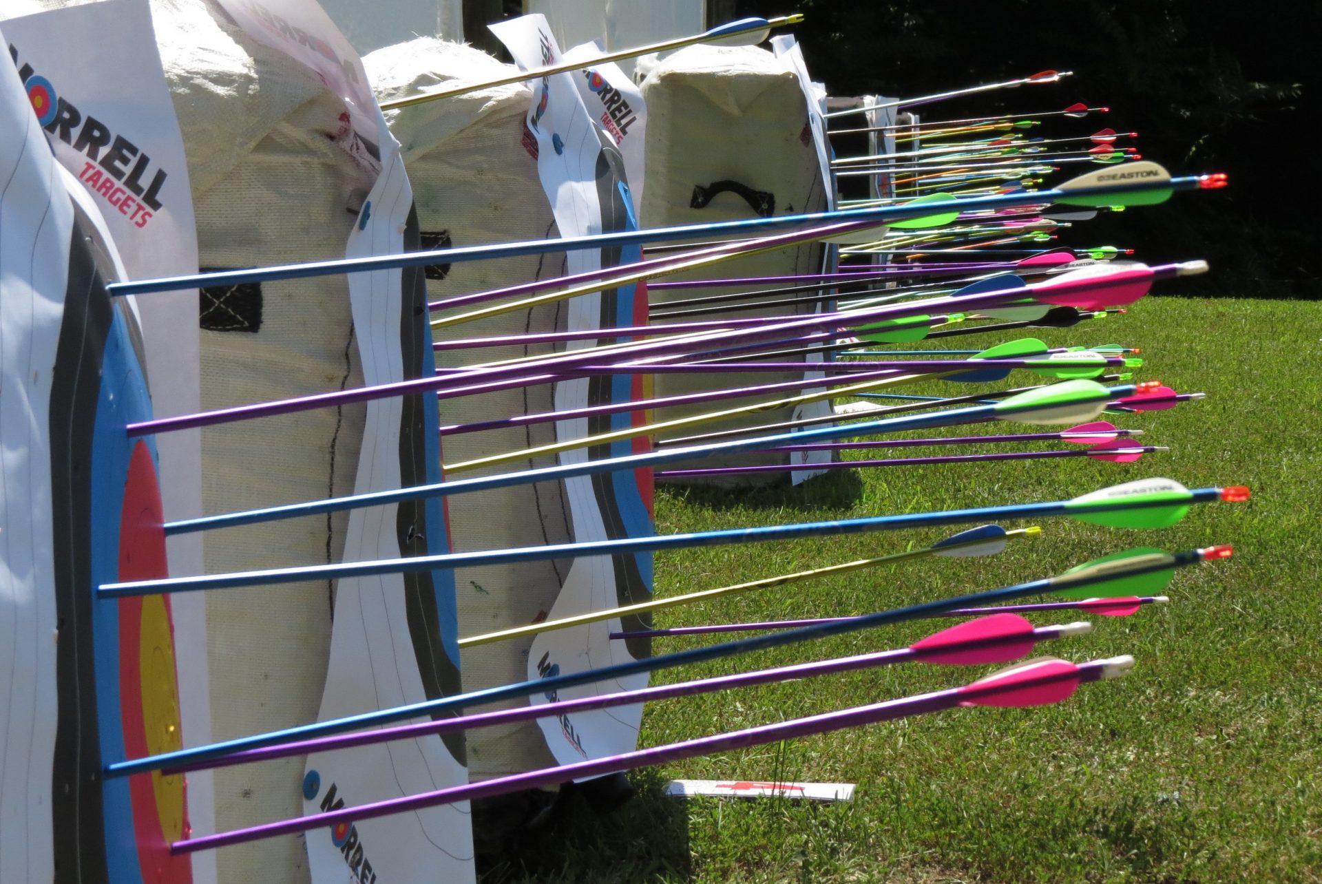 Special Interest Troops/Groups | Girl Scouts of the Commonwealth of ...